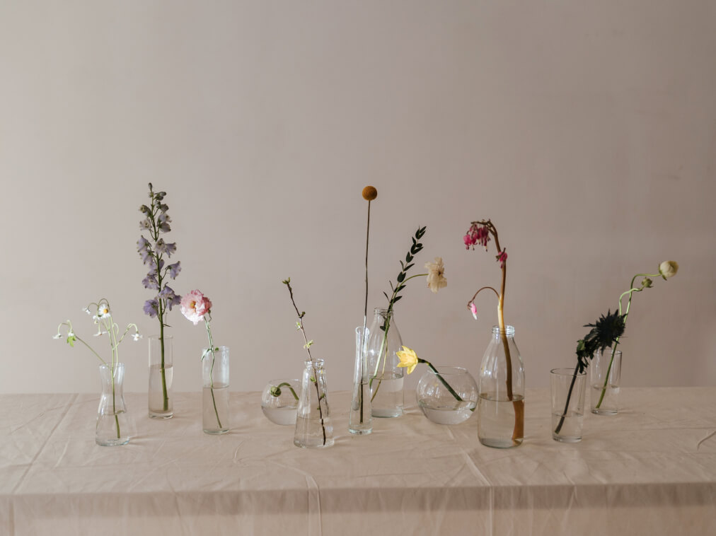 Our Story – The Collective Flora & Farm